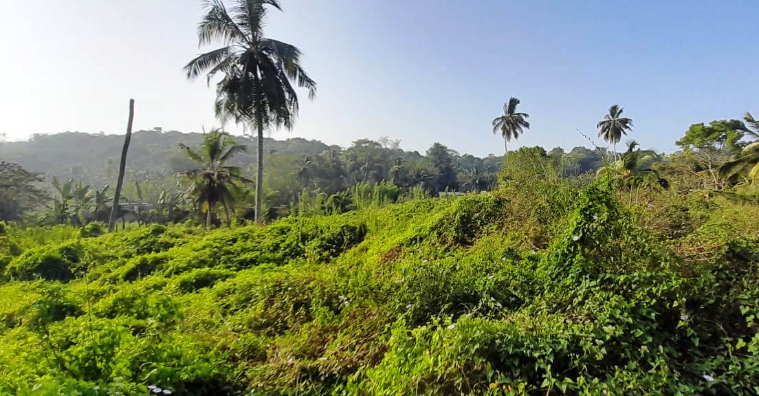 Baustadtlanka - LAND BEAUTIFUL NATURE